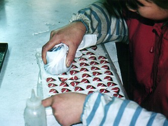 China Factory - pins centre company ltd