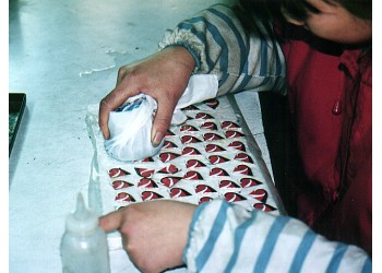 China Factory - pins centre company ltd
