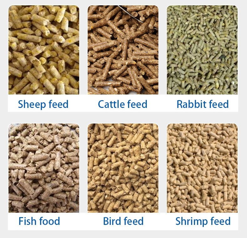 feed pellet machine Automatic Chicken Feed Making Machine Animal Feed Pellet Machine Feed Pellet Mill