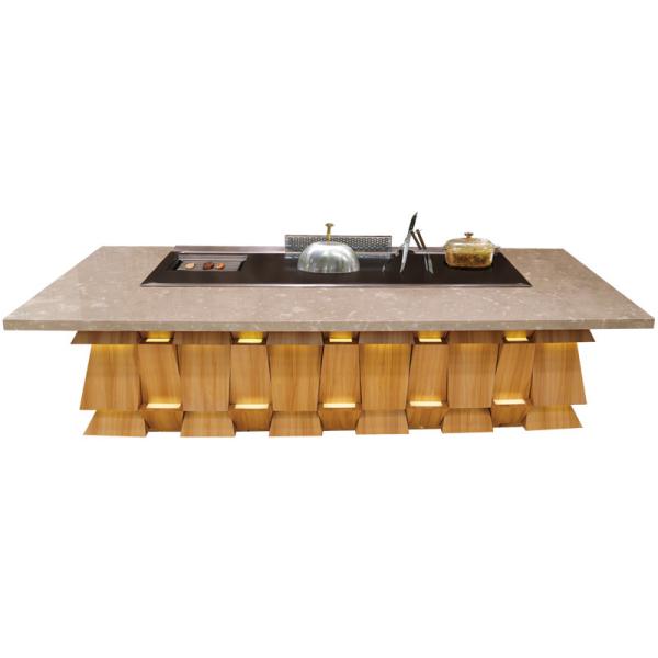 Quality Soup BBQ Grilling Mobile Teppanyaki Equipment Multifunction For Restaurant for sale