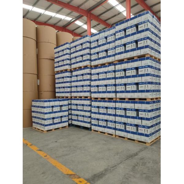 Quality OEM Woodfree Offset Paper For Printing Monochrome Or Multi Color Book Covers for sale