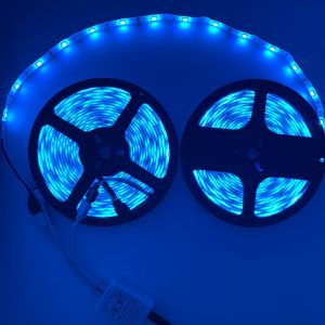 Quality IP20 72W 10M RGB LED Strip Lights With Remote for sale