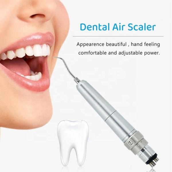 Quality Endodontic Tooth Scaler Ultrasonic Handpiece Durable Multipurpose for sale
