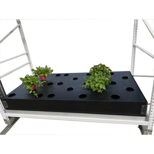 Quality 40 Site Aeroponic Hydroponic Growing Boxes Tomato Hydro Grow System for sale