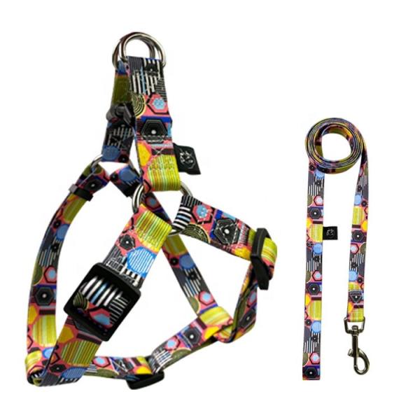 Quality No Pull Dog Harness Set Adjustable Designer Dog Harness Leash Set for sale