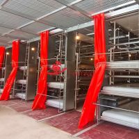 China Anti-Aging Stable Operation Poultry Manure Removal System Rust Resistance factory