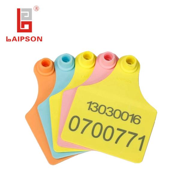 Quality NO.001-100 Farm Cattle Ear Tags Size 98*73mm Customized Color Heat Cold Resistance for sale
