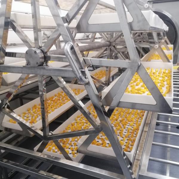 Quality 24KW Commercial Microwave Vacuum Dryer Pineapple Mango Dehydrator Oven for sale