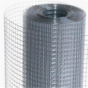 Quality 1/2inch Hole Size Galvanized Welded Wire Mesh Roll with Corrosion Resistance and for sale