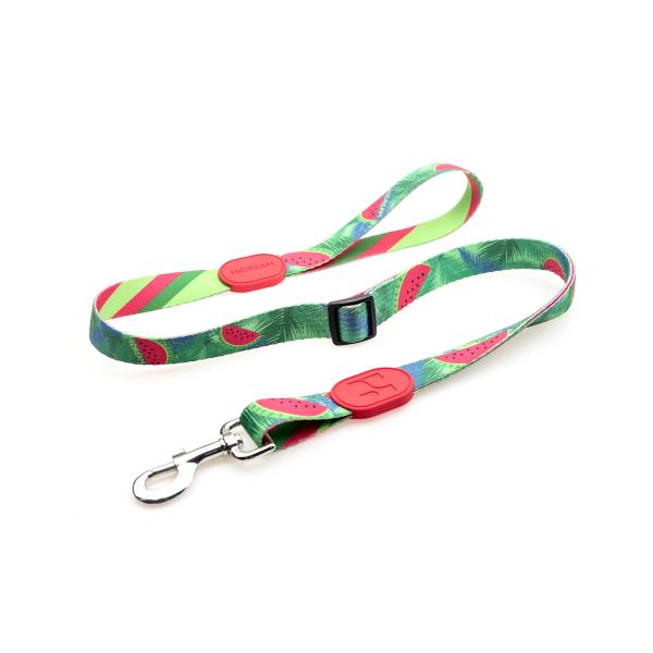 Quality 6.1m 20 Foot Anti Pull Dog Lead Collar For Yard Disabled Owners Extra Long for sale