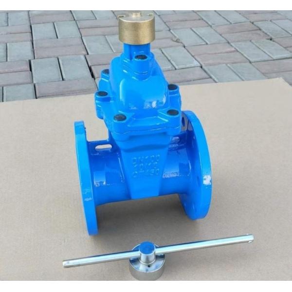 Quality GOST Lock Cast Iron Gate Valve With Flange Connection For Water for sale
