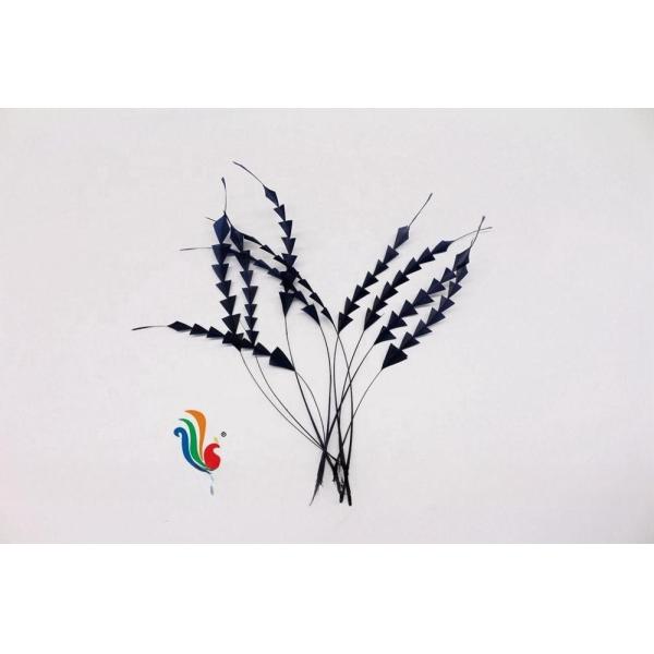 Quality Dyed Stripped Rooster Coque Feathers with Fast Shipping via DHL UPS FEDEX EMS for sale