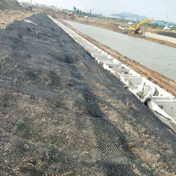 Quality Assembled Three Dimension Slope Grass Protection Blanket for Permanent Erosion for sale