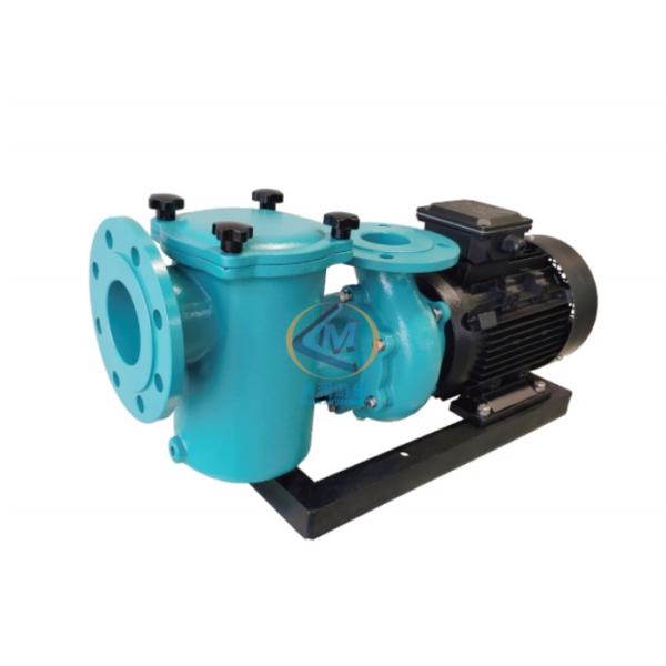 Quality Vertical Horizontal Cast Iron Pump For Water Pool Supply Filteration System for sale