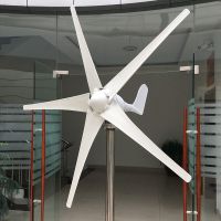 Quality Multi Colors Small Horizontal Wind Turbine 48V 600W 1000W Horizontal Wind for sale