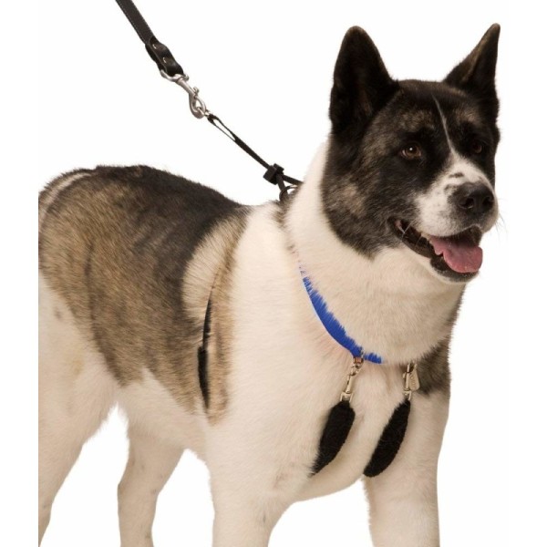 Quality No Pull Dog Training Leash Halter Pet Lead Nylon Webbing Stress Free Multicolour for sale
