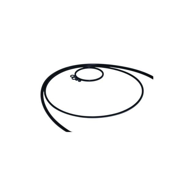 Quality Dowhon Customized Perfluoro FFKM O Ring 70 Shore A Good Flexibility Temperature for sale
