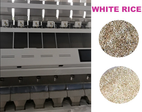 Quality White Rice CCD Color Sorter Machine 448 Channels 7 Chutes for sale
