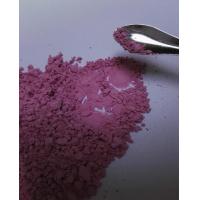 China 100% natural Acai berry Powder factory