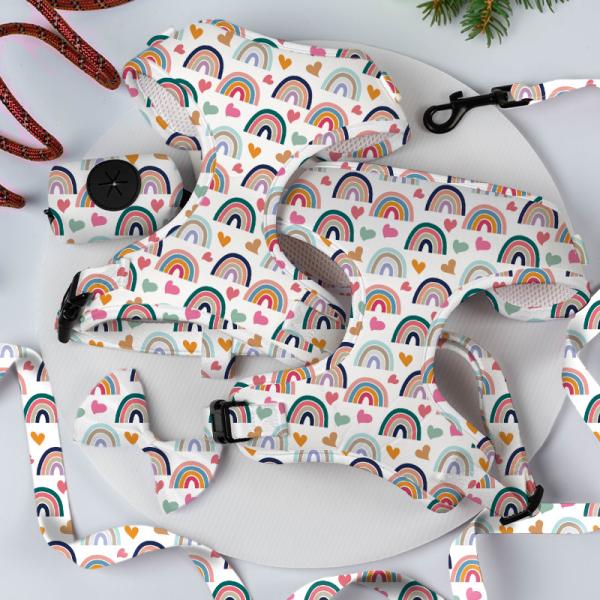 Quality Polyester Dog Leash Harness Set Personalized Dog Collar And Lead Set for sale