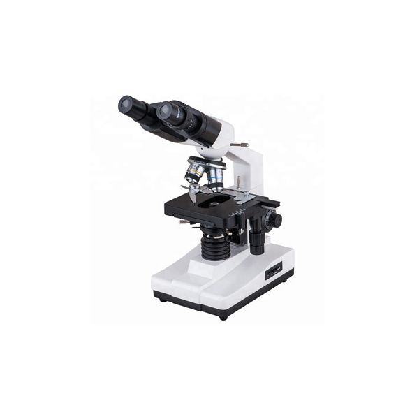 Quality WF10X 40X 1600X Student Biological Microscope School Lab Compound Binocular for sale