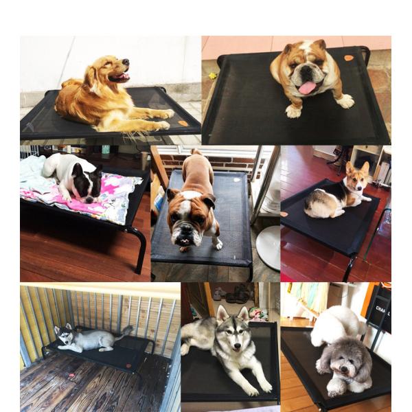 Quality 7in Waterproof Elevated Dog Cot Bed 600D Folding Travel Dog Bed for sale