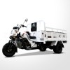 china 150cc/175cc/200cc Engine Motorized Tricycles Cargo Tricycles for Adult by WUYANG