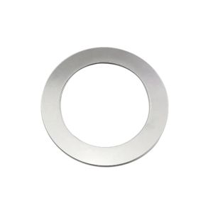 china AS Series Thrust Washers