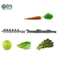 Quality Fruits Vegetable Processing Machine for sale
