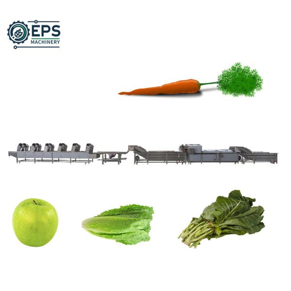 Quality Advanced Fruit and Vegetable Processing Equipment for Cleaning for sale