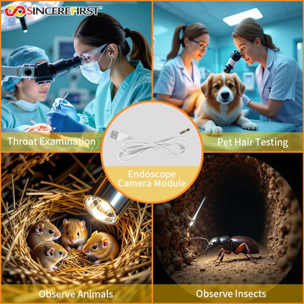 Quality Industrial and Medical Led Integrated CMOS Endoscope Camera Bare Module for sale