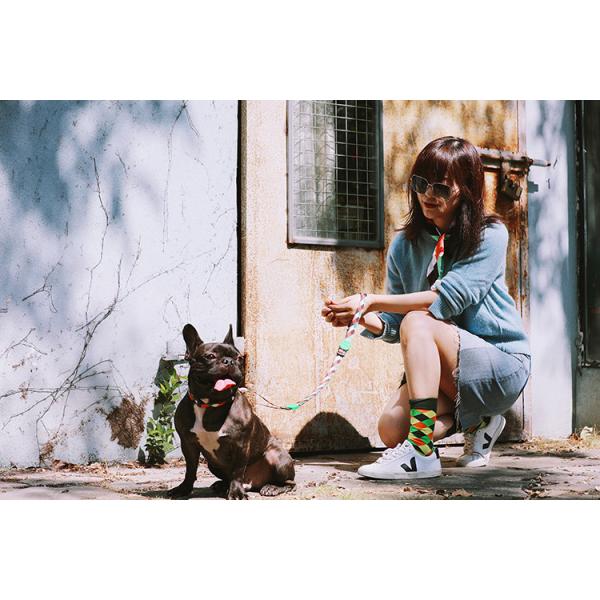 Quality 9m 30 Foot Polyester Anti Pull Dog Leash Freedom Reclaimed Material Polyester for sale