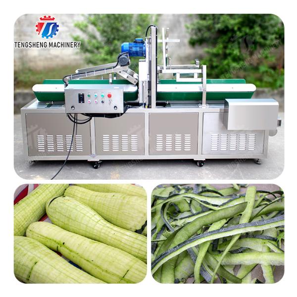 Quality Large winter melon peeling machine papaya chieh-qua pumpkin wax gourd pineapple for sale