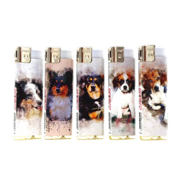 Quality ISO9001 Certification Custom Cigarette Butane Gas Plastic Electric Disposable for sale