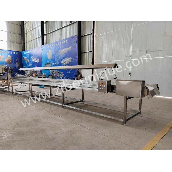 Quality 220v/ 380v Stainless Steel 304 Nut Selecting Conveyor Belt for Raisin Sorting for sale