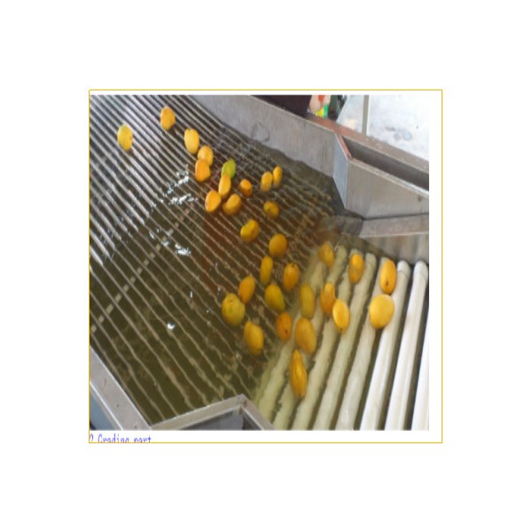 Quality Citrus Fruit Tomato Sorter Machine And Vegetable Washer Machine for sale