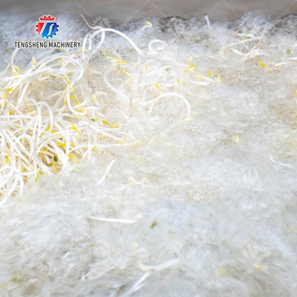 Quality Single cylinder fruit and vegetable washing machine with slag separator Leaves for sale