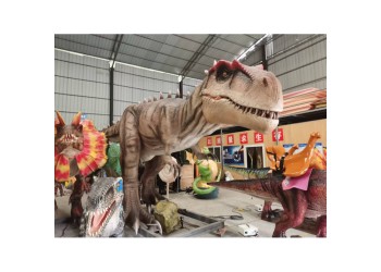 China Factory - Zigong City Red Tiger Culture & Art Co., Ltd.