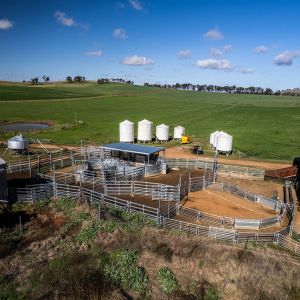 Quality 2.1m Light Grey Protective Fence Panel for Cattle Ranch for sale