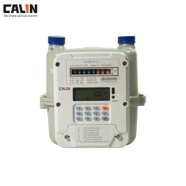 Quality LoraWAN Management STS/DLMS Keypad Prepaid Gas Meter for sale