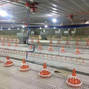 Quality PVC Automatic Poultry Feeder System Broiler Automatic Pan Feeder for sale