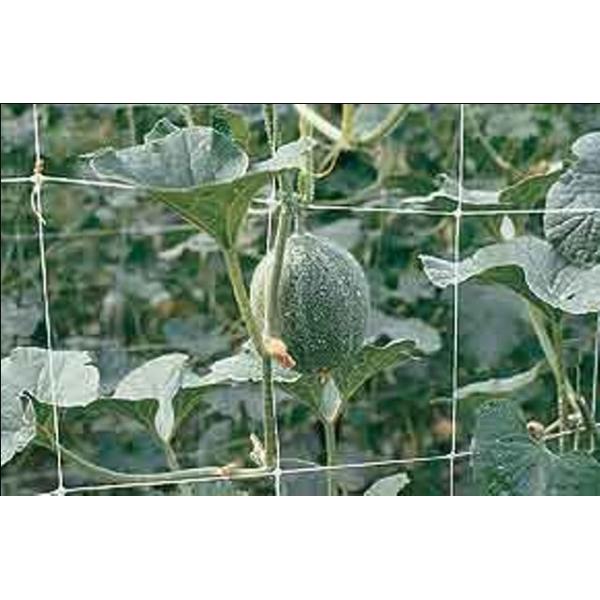 Quality Climbing Plant Support Netting for sale