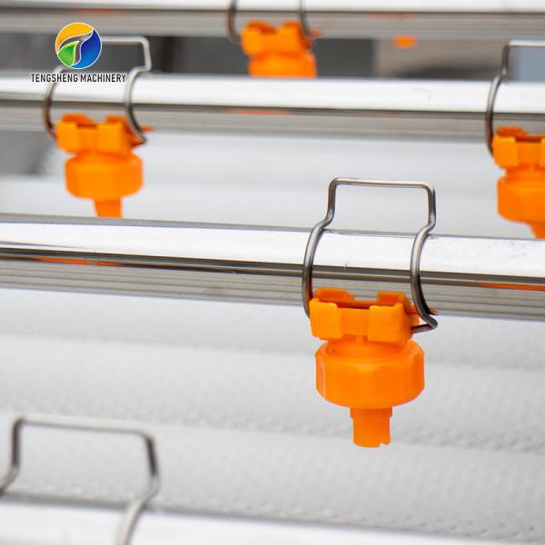 Quality Multifunction Fruit And Vegetable Processing Line Parallel Brush Machine for sale