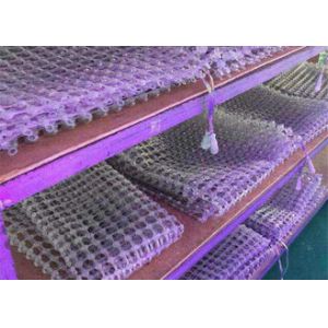 Quality Waterproof DC5V Led Grid Display For Glass Window Building for sale