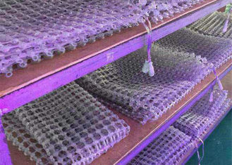 Quality Waterproof DC5V Led Grid Display For Glass Window Building for sale