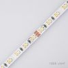 china 5mm 8mm Adjustable color Temperature LED Strip SMD2216 240 LEDs/m 16.2W