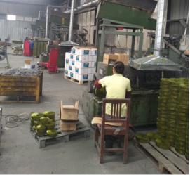 China Factory - NINGBO FASTRACK INT\\\'L TRADE CO., LTD.