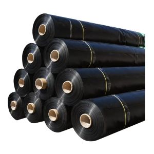 Quality Anti Puncture and UV Resistant Geomembrane for Fish Ponds High Density for sale