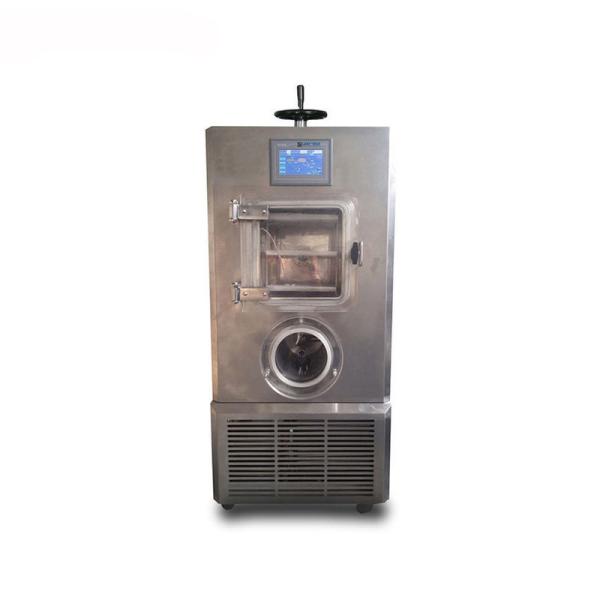 Quality 3L Automatic Pilot Vaccine Freeze Drying Machine for sale