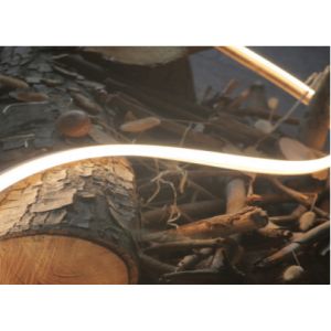Quality Warm White 3000K Silicone Neon Strip DC24V IP68 LED Strip for sale